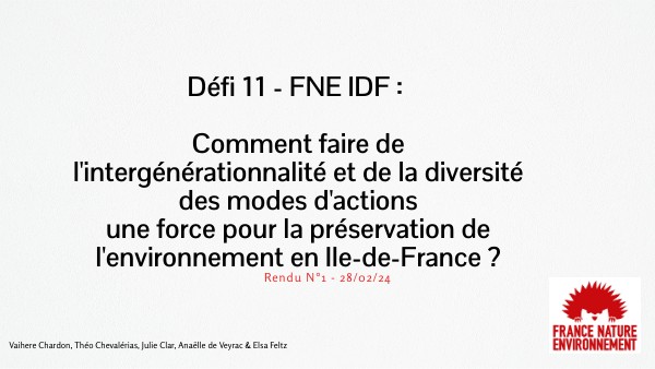 RENDU N°1 - DEFI 11 FNE IDF | Genially