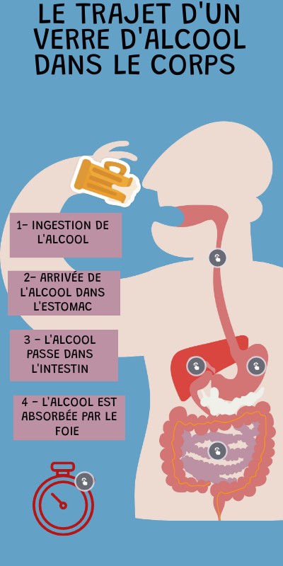 trajet alcool | Genially