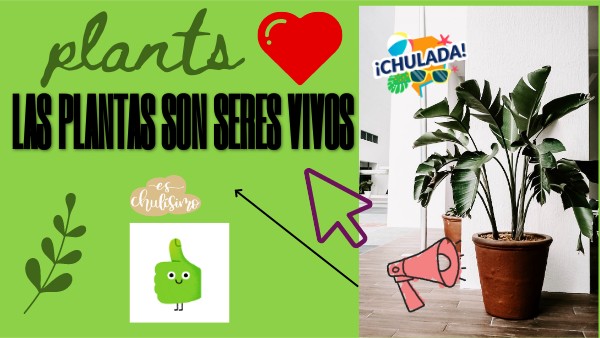 LAS PLANTAS