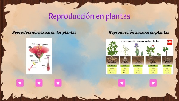 Reproducción en plantas