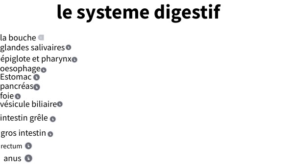 Le systeme digestif | Genially