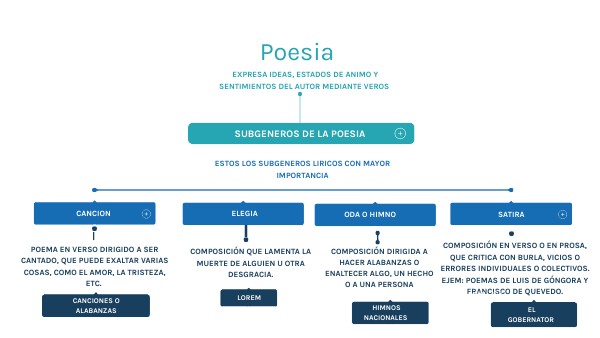 Mapa Conceptual Cajas