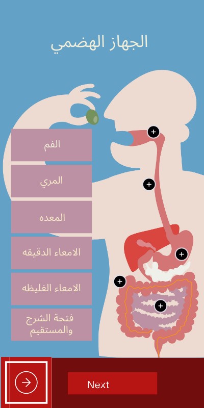 Human Body Presentation | Genially