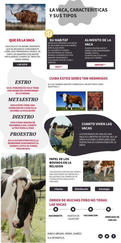 infografía de vaca :) | Genially