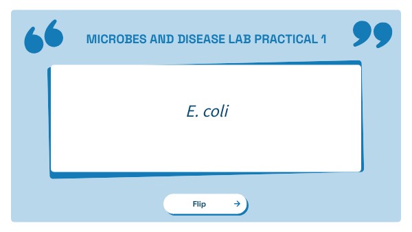 Microbe and Disease Lab Practical | Genially