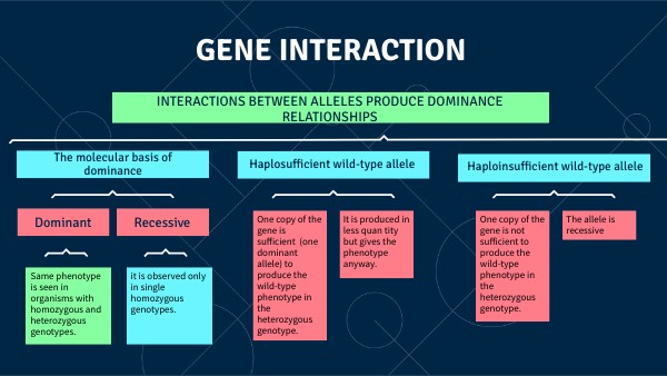 GENE INTERACTION | Genially