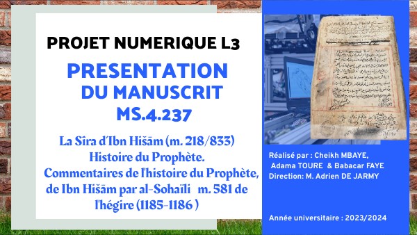 Projet numérique L3 | Genially