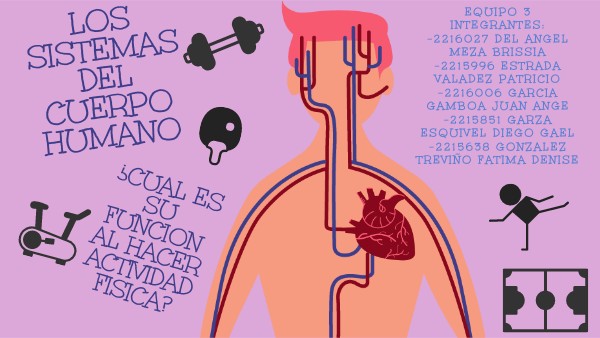 Los Sistemas del cuerpo humano | Genially