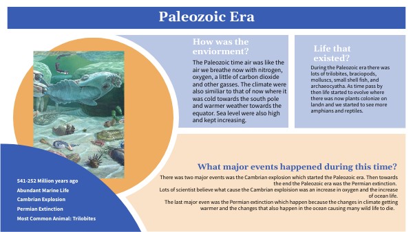 Paleozoic Era