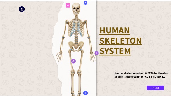 HUMAN SKELETON SYSYTEM | Genially