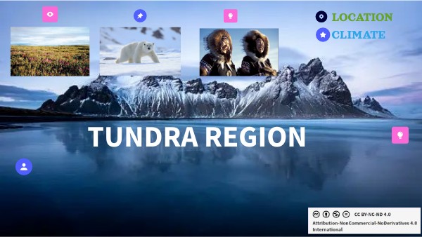 TUNDRA REGION