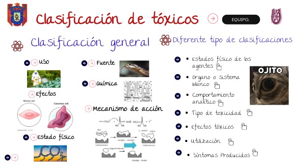 Essential Interactive Image