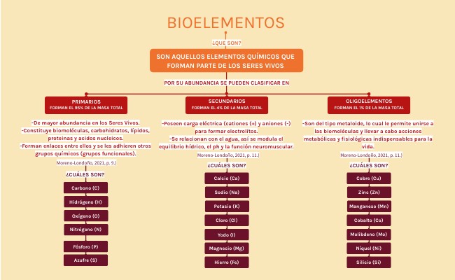BIOELEMENTOS, CLASIFICACIÓN Y CARACTERÍSTICAS | Genially