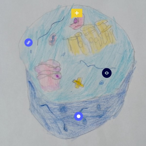 mappa cellula