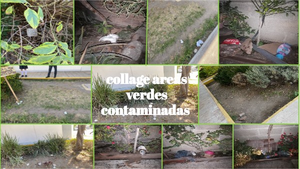 collage areas verdes | Genially