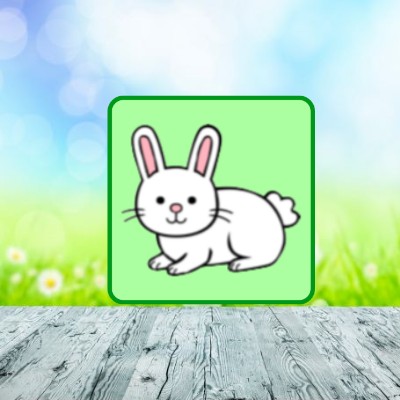 Spring Photo Game Randomizer | Genially