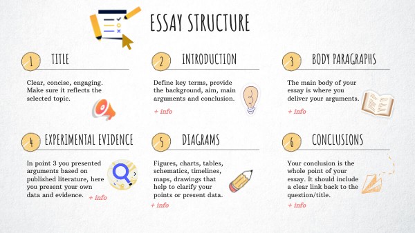 Essay Structure