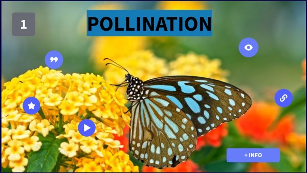 Pollination | Genially