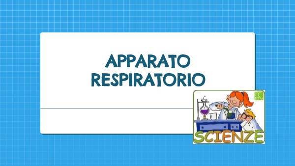 PRIMARY UNIT PLAN II | Genially