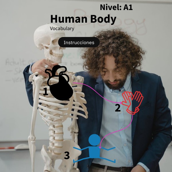 Human body vocabulary | Genially