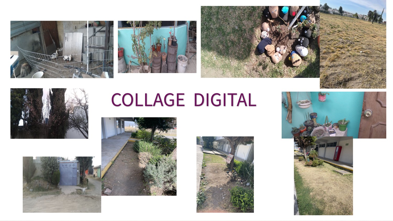 collage-MICHELL 2C PGEA | Genially