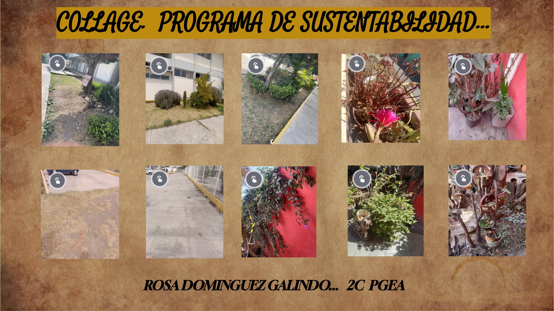 COLLAGE DIGITAL-ROSA | Genially