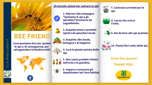 Bee Friend II E | Genially