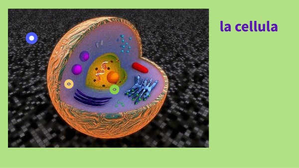 cellula