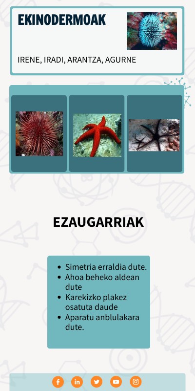 INFO EINSTEIN | Genially