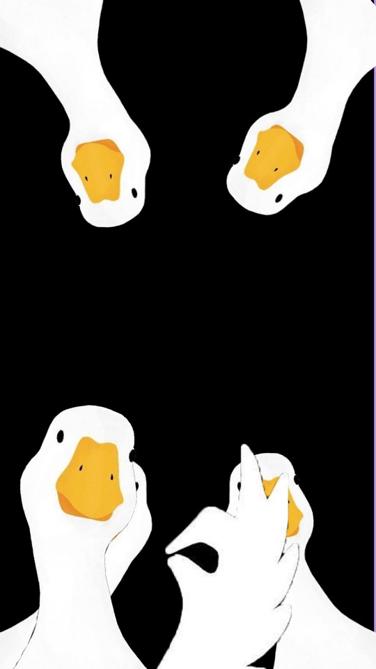 Equality interactive card