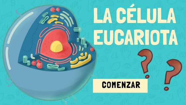 La célula eucariota | Genially