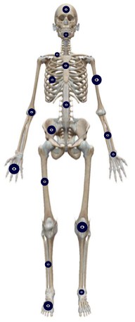 Human bone system | Genially