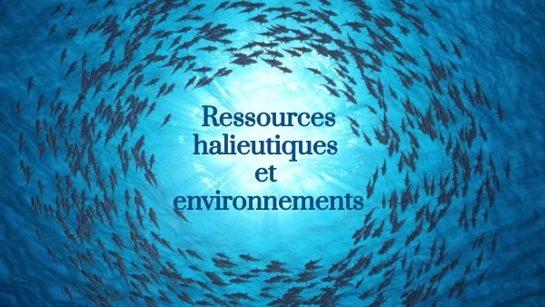 Ressources halieutiques et environnements | Genially