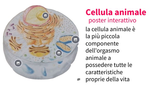 Poster interattivo cellula | Genially