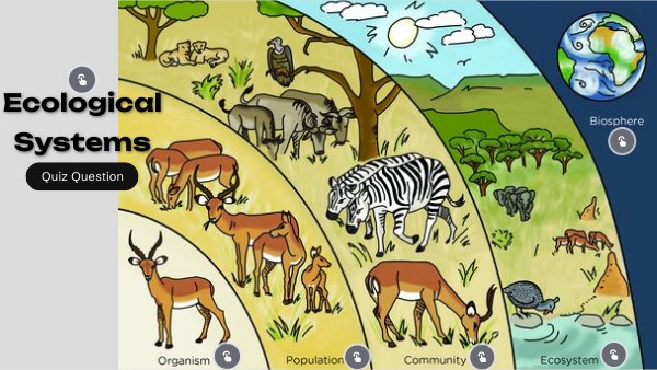 High School Ecological Systems