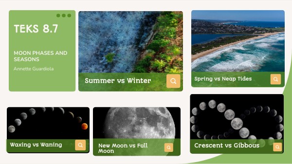 PHOTO GALLERY | Genially