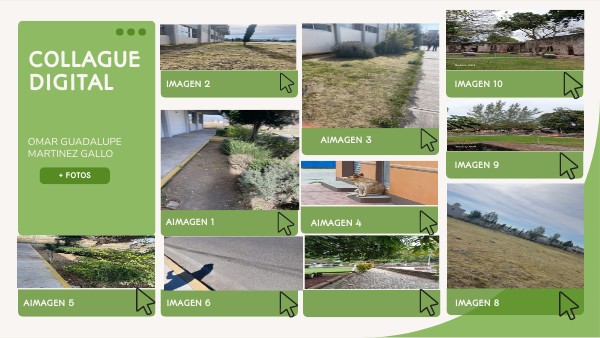 PHOTO GALLERY | Genially