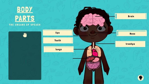 JUEGO PARTES DEL CUERPO | Genially