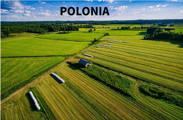 POLONIA | Genially