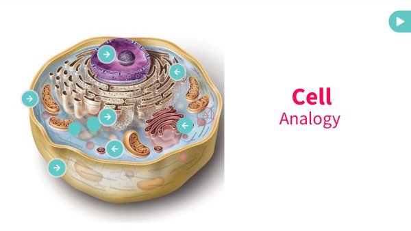 Interactive cell poster