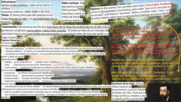 Infografía Horizontal ``En tanto que de rosa y azucena´´