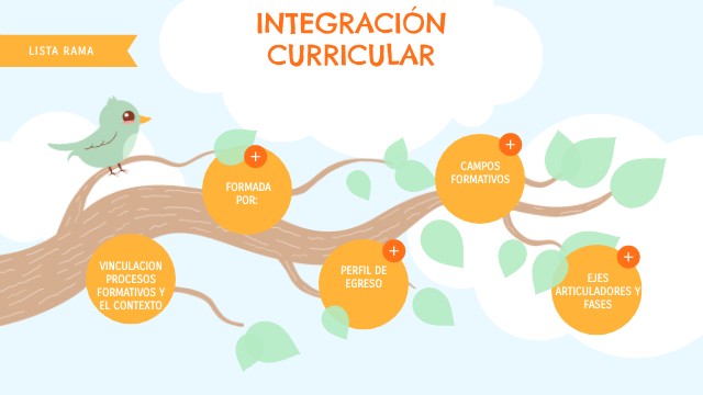 Integracion curricular