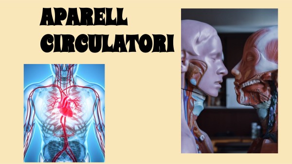 aparell circulatori