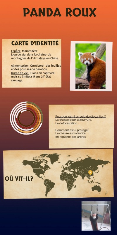 Panda roux