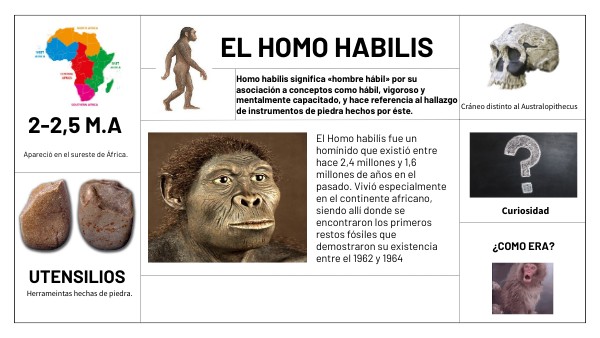 HOMO HABILIS LUCAS Y HUGO | Genially