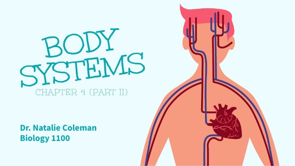 Human Body Part 2 Presentation | Genially