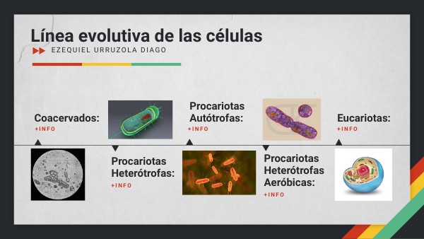 Linea evolutiva de las células