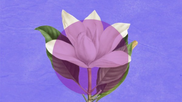 Listening 7C | Genially