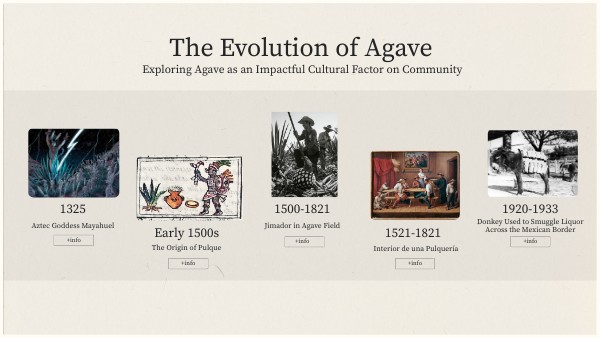 Agave Project Timeline