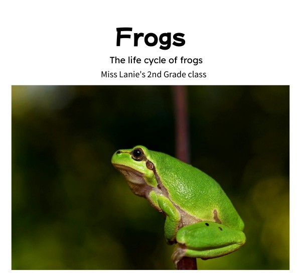 Frogs | Genially